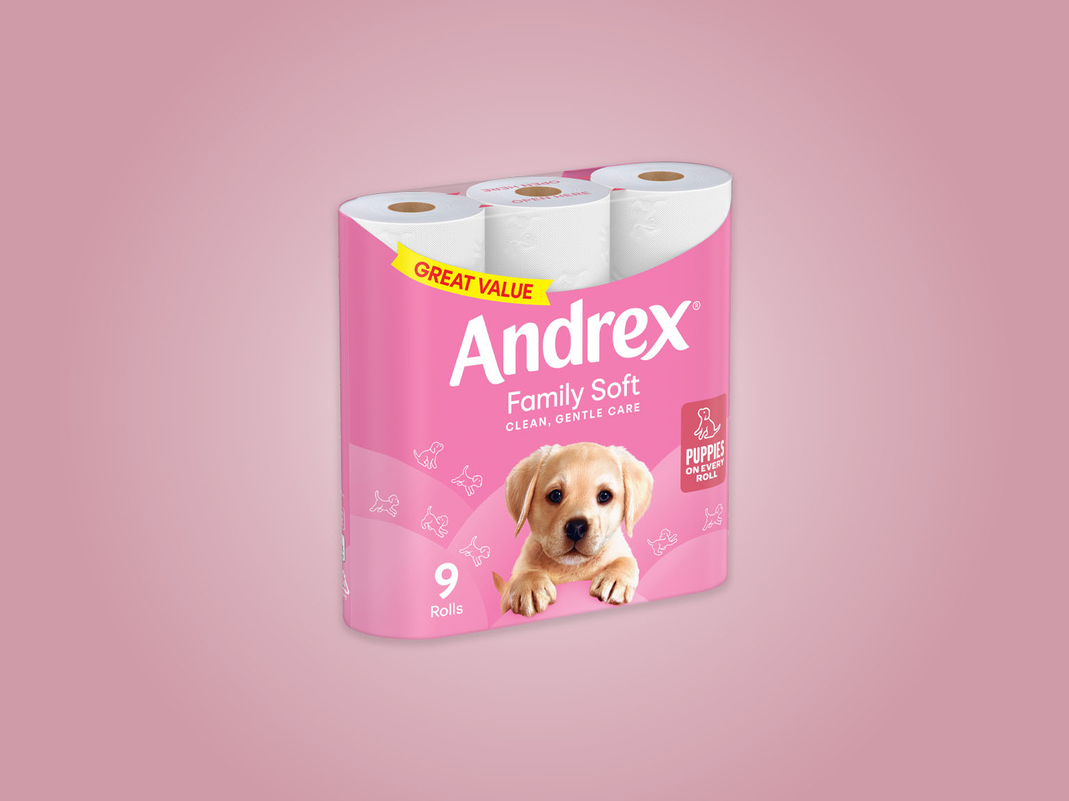 Family Soft Toilet Tissue | Toilet Paper | Andrex®