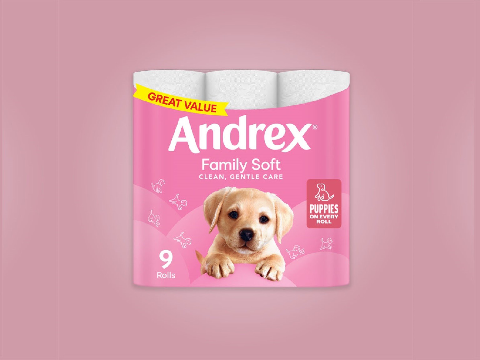 Family Soft Toilet Tissue | Toilet Paper | Andrex®